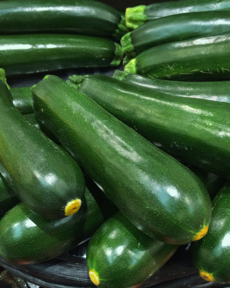 COURGETTE DE PROVENCE | MAISON PEINTE