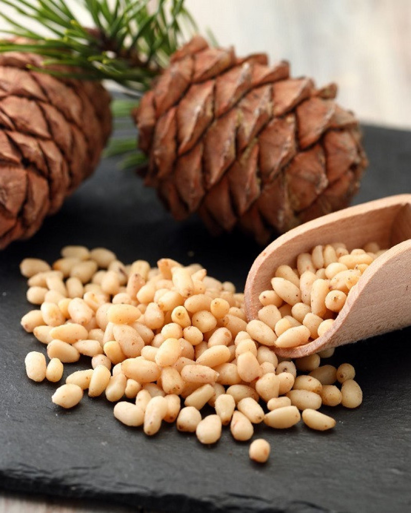 PIGNON DE PIN | MAISON PEINTE