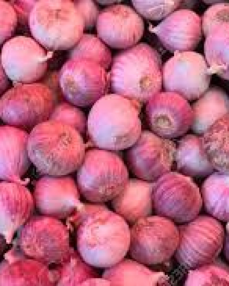 ECHALOTE SECHE | MAISON PEINTE